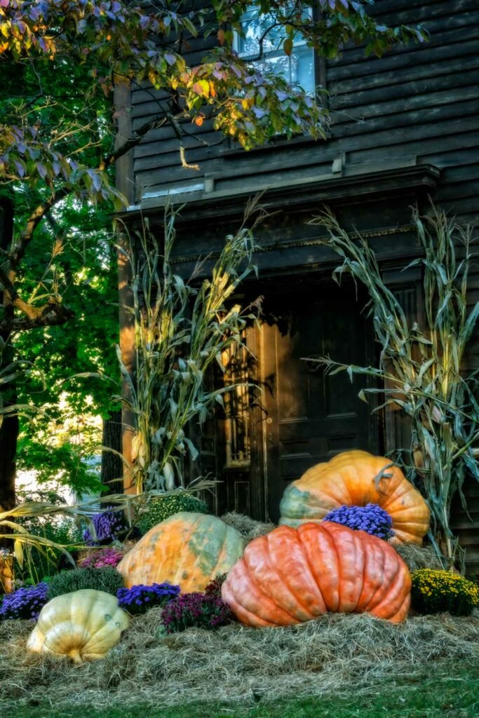 Earthscapes – Steve Upton Photography